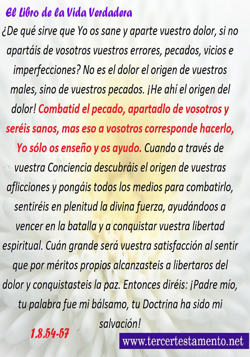 Explicación 01 | El Libro de la Vida Verdadera