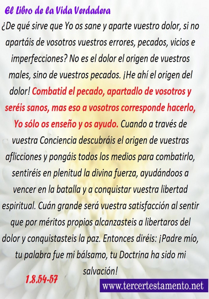 Explicación 01 | El Libro de la Vida Verdadera