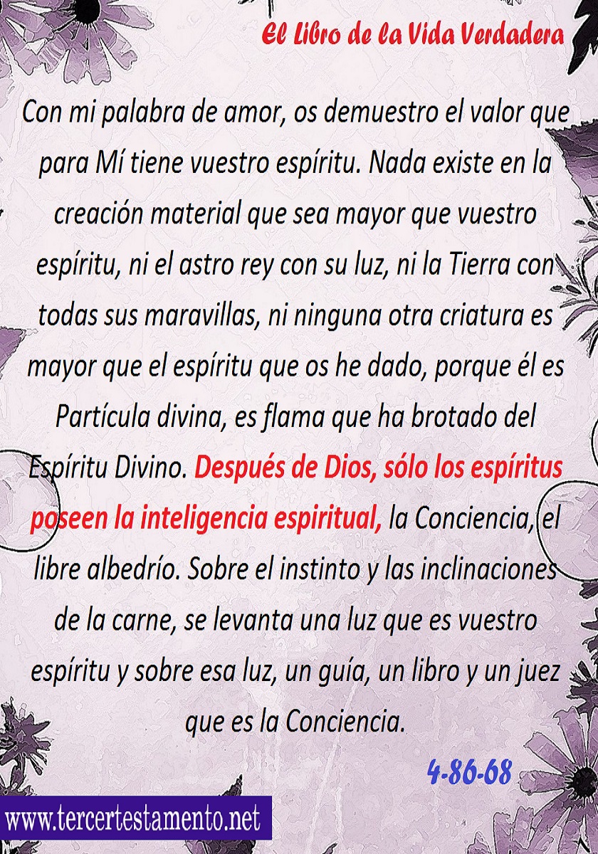 Explicación 03 | El Libro de la Vida Verdadera