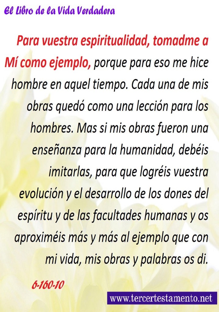 Explicación 01 | El Libro de la Vida Verdadera