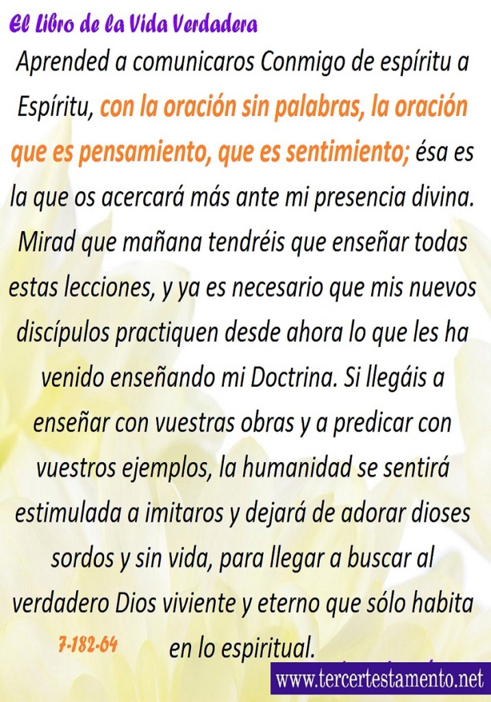 Explicación 01 | El Libro de la Vida Verdadera